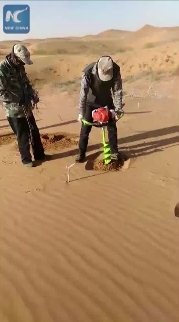 Chinese farm workers spend 38 years to turn desert into oasis-China Story