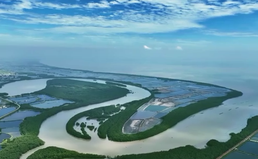 全球连线｜守护“海岸卫士”-中国好故事